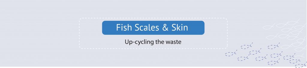 Dry Fish Scales – Nizona Marine Products