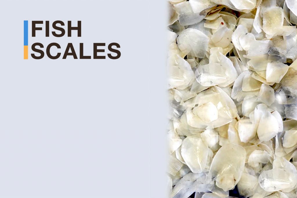 EU certified collagen marine products | Nizona Marine Products